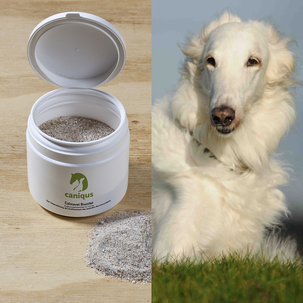 Calmavet Booster - Caniqus